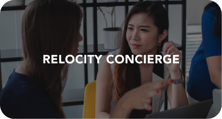 Solutions | Relocity